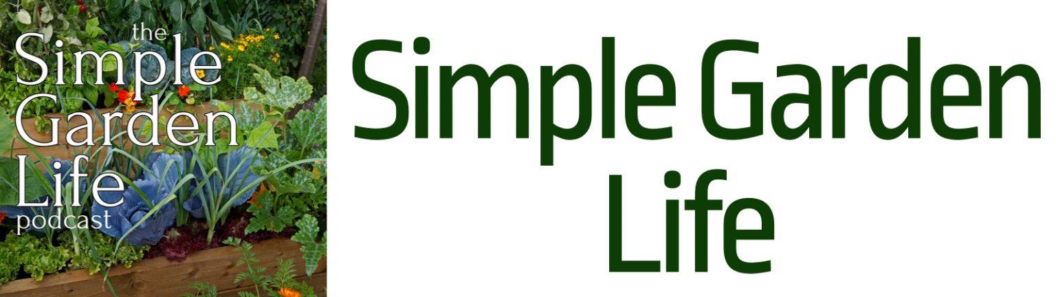 How To Grow Everblooming Roses - Easy Care Knock Out Varieties!