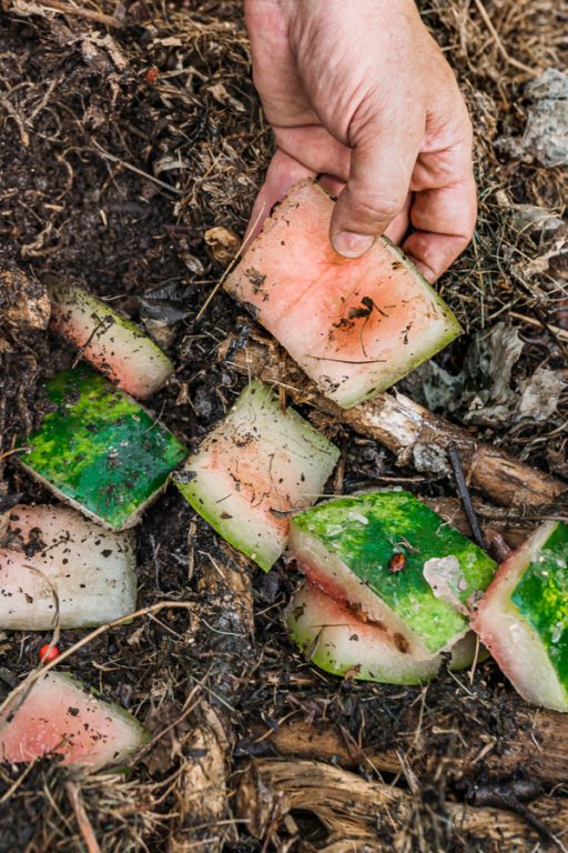 How To Make Compost For A Great Garden - Inexpensively & Easily!