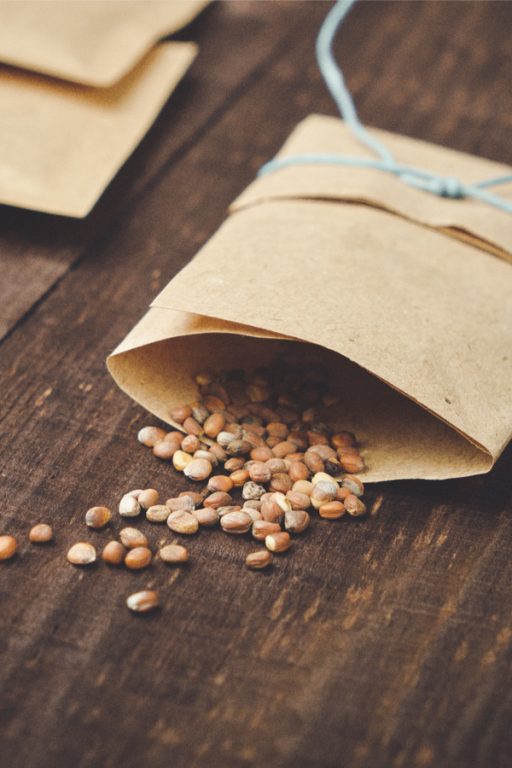 How To Start Seeds Indoors - The Simple Secrets To Grow Great Plants!