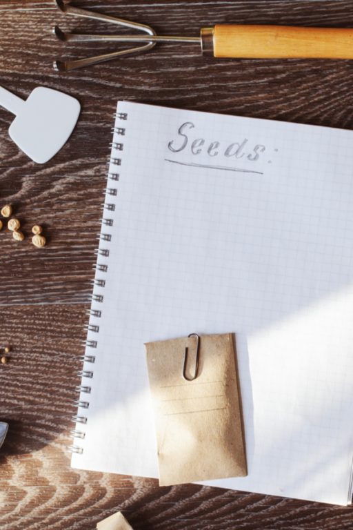 Seven Big Planting Day Secrets - How To Plant Your Garden For Success!