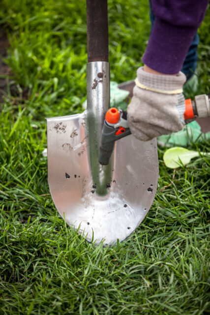 Cleaning And Disinfecting Garden Tools In The Fall