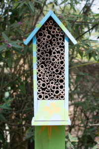 Stopping Carpenter Bees - How To Keep Carpenter Bees Away!