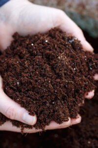 How To Use Cardboard In A Garden! Stop Weeds & Get Better Soil