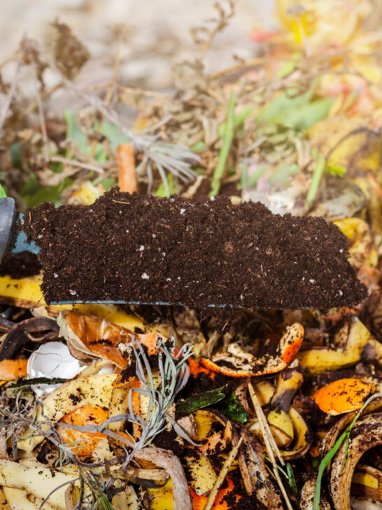 How To Clean Out & Mulch Fall Flowerbeds! Stop Weeds For Good How To Clean Out & Mulch Fall Flowerbeds! Stop Weeds For Good