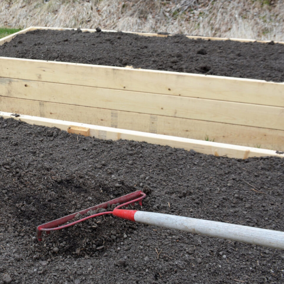 How To Rejuvenate Raised Bed Soil In The Fall!