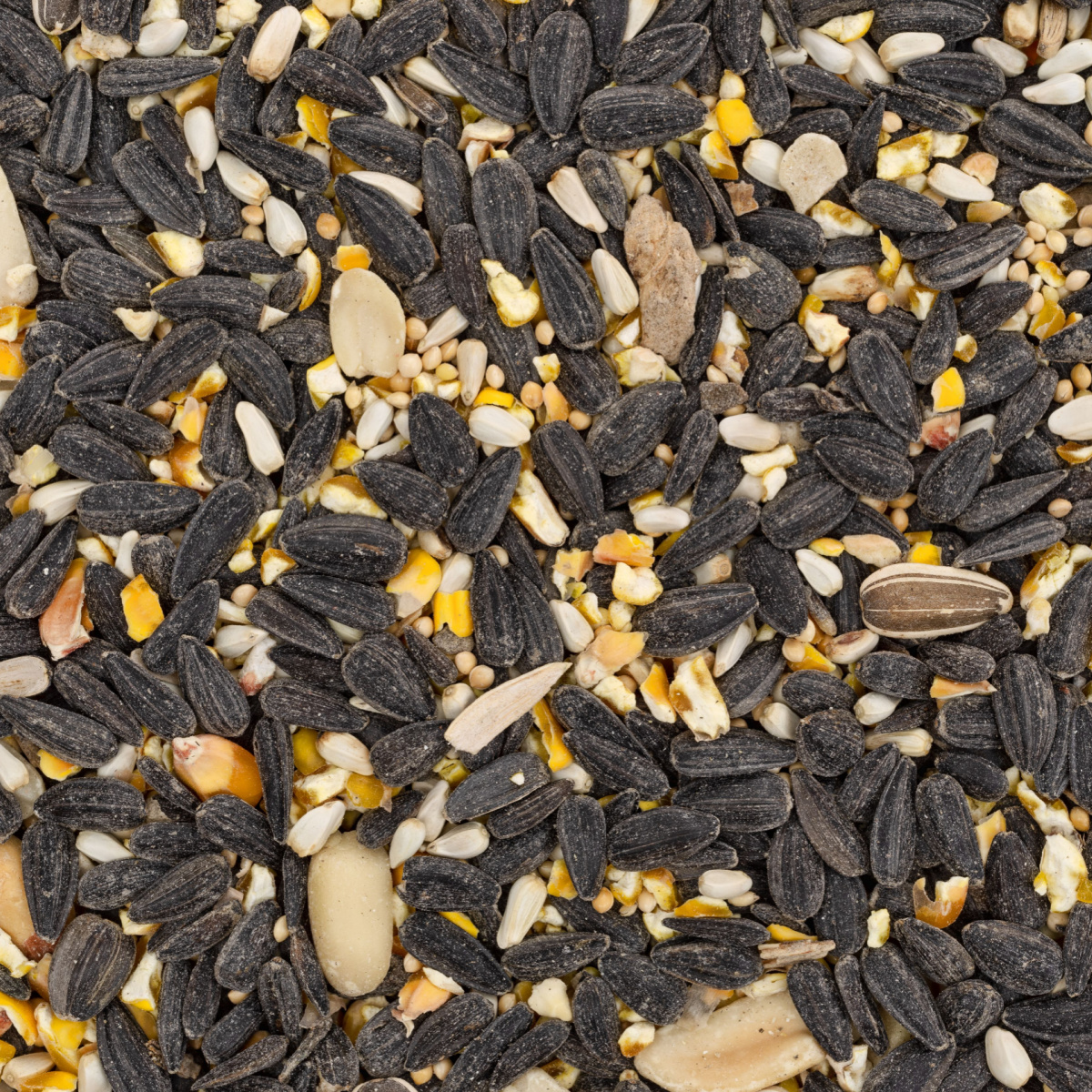 How To Make Homemade Birdseed - Feed Birds Better & Cheaper!