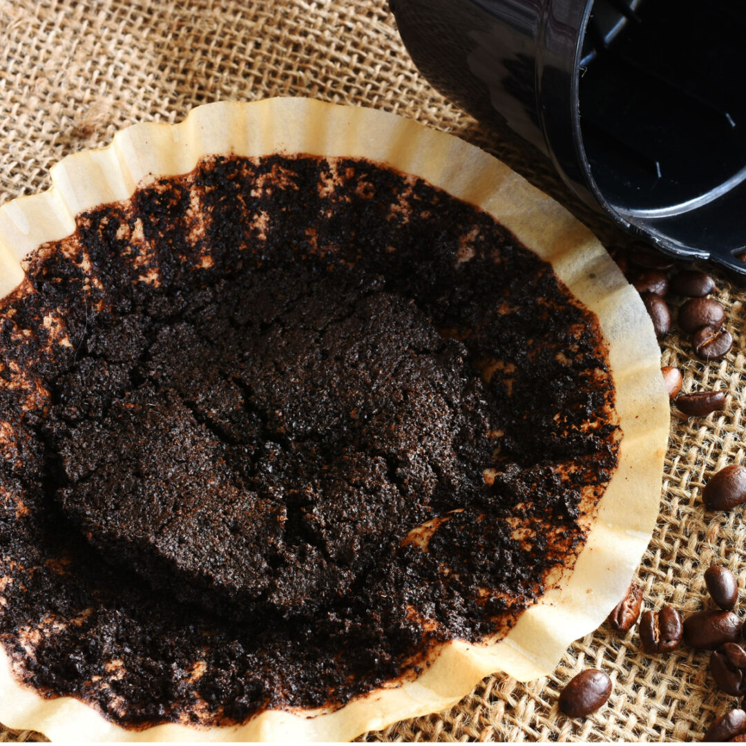 How To Recycle Coffee Grounds In The Winter!