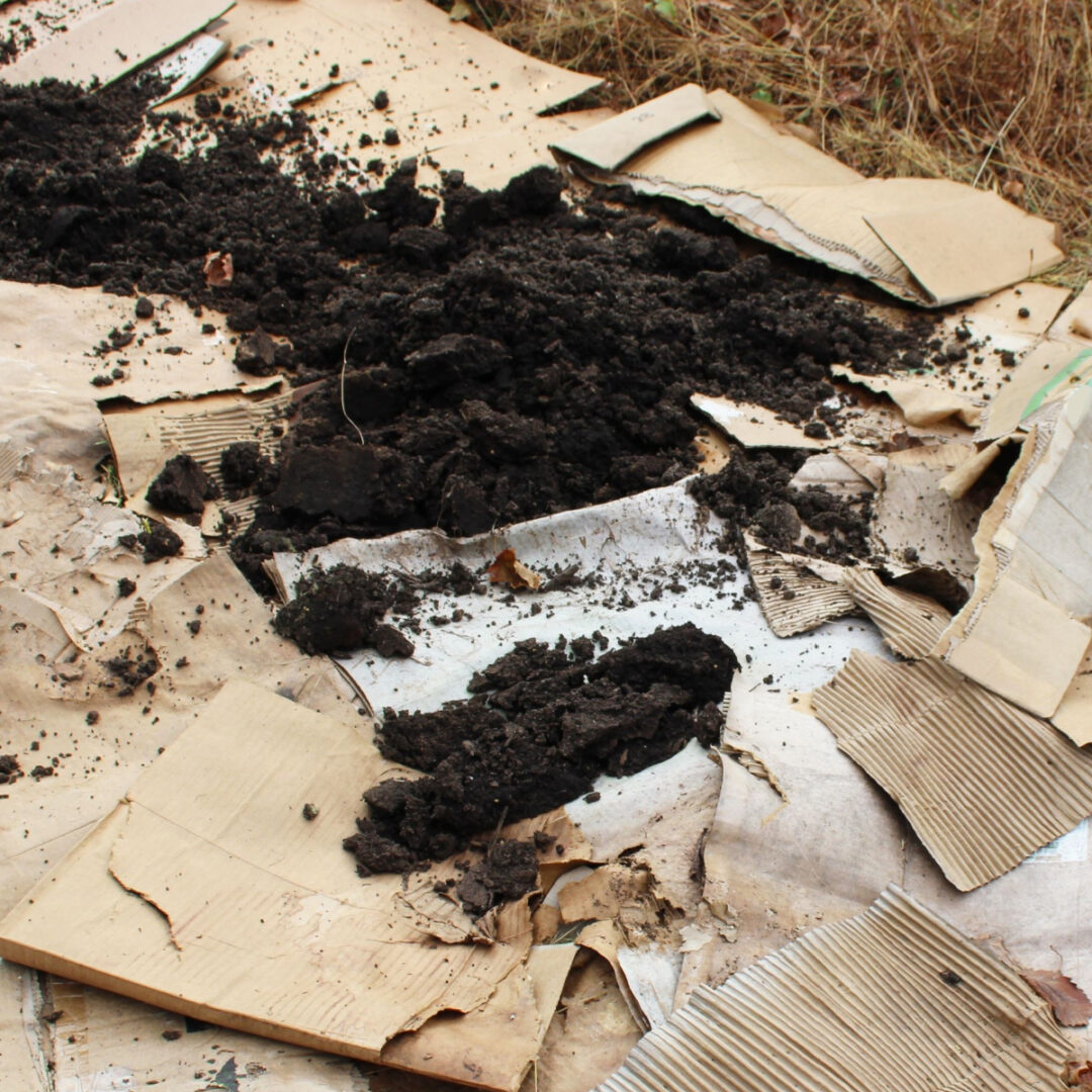 How To Use Cardboard In A Garden! Stop Weeds & Get Better Soil