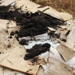 How To Use Cardboard In A Garden! Stop Weeds & Get Better Soil