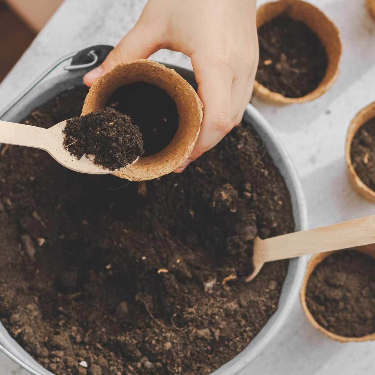 Homemade Seed Starting Soil