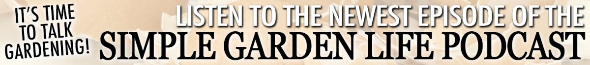 How To Water And Fertilize Ferns - Keep Your Ferns Beautiful! How To Water And Fertilize Ferns - Keep Your Ferns Beautiful!