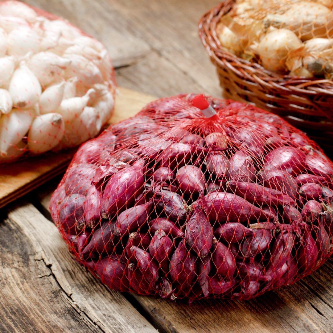 How To Plant Onion Sets In Spring - 5 Secrets To Grow Big Onions!