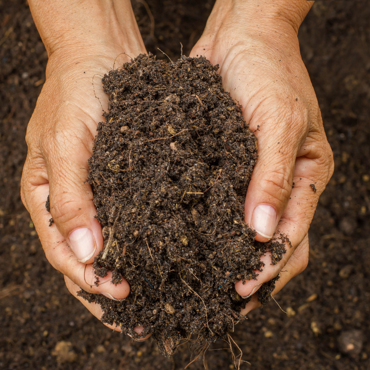 The Perfect Potting Soil Recipe - Create Amazing Soil With Ease!