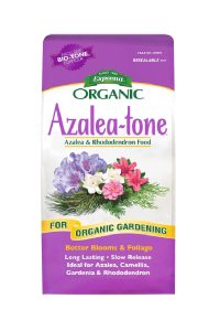 What To Do With Azaleas After They Bloom - 4 Secrets To Success