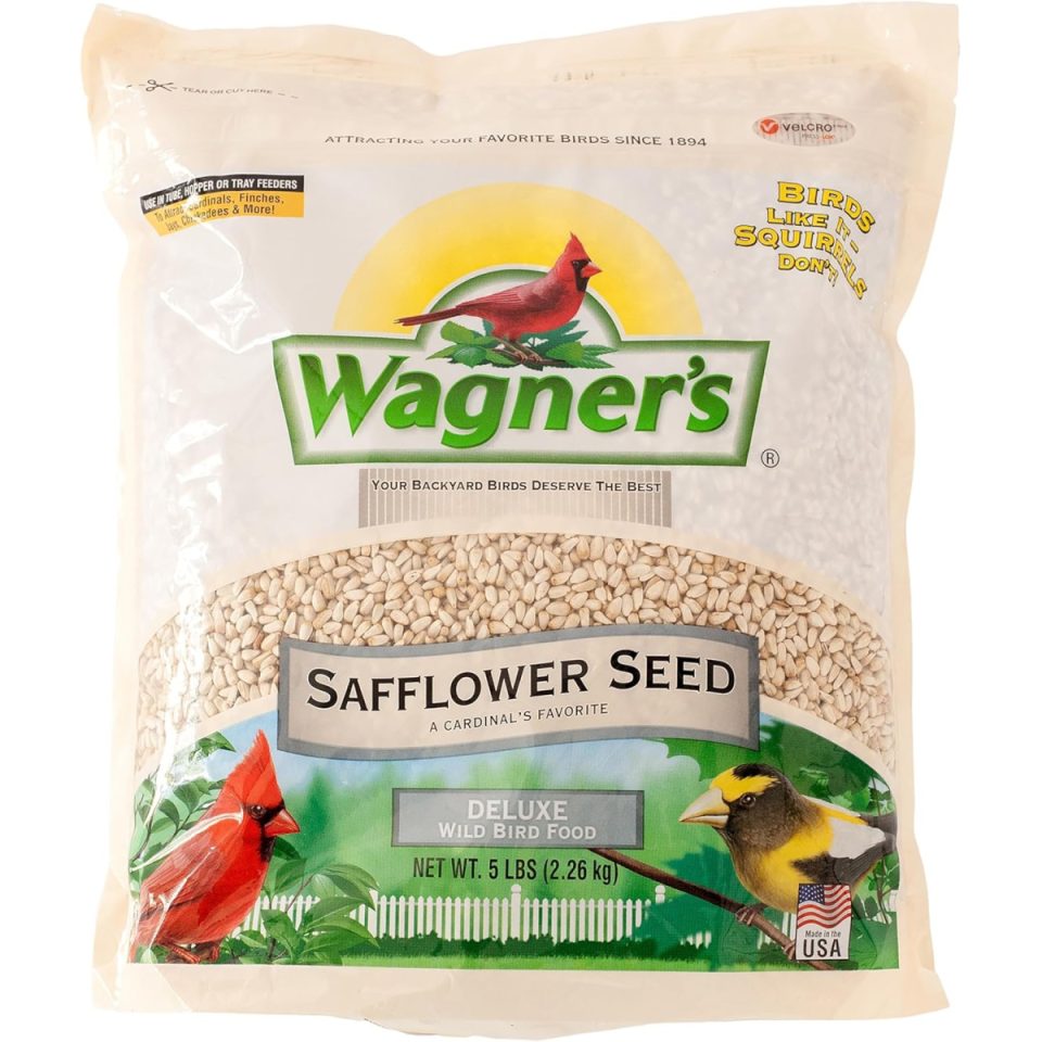 Feeding Cardinals In The Winter - How To Attract Redbirds!