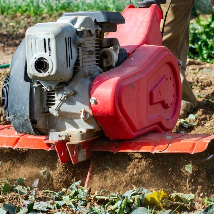 How To Have A Weedless Vegetable Garden - By Working Less!