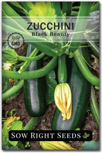 The Best Way To Plant Zucchini - Why Growing From Seed Is Best!